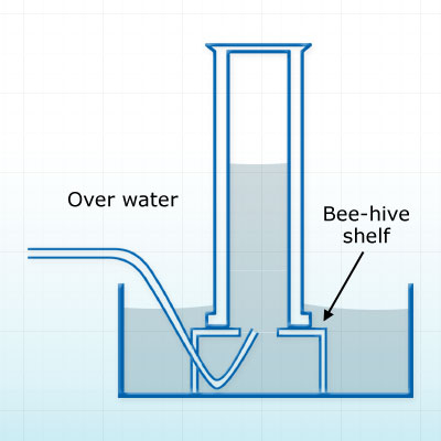 Info Library, 100s of pages of useful science education information ...