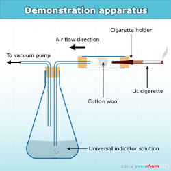 The Effects of Smoking - Science Practical Expiriment used in School ...