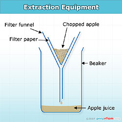 Using Enzymes to Extract Fruit Juice - Science Practical Expiriment ...